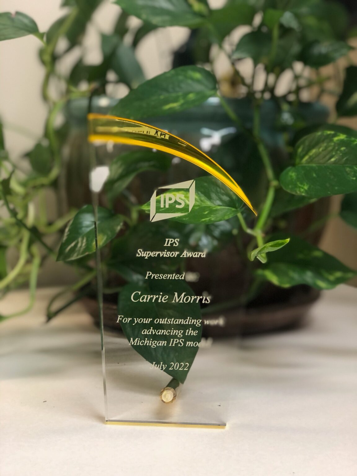 ISK's supported employment program recognized - Integrated Services of ...